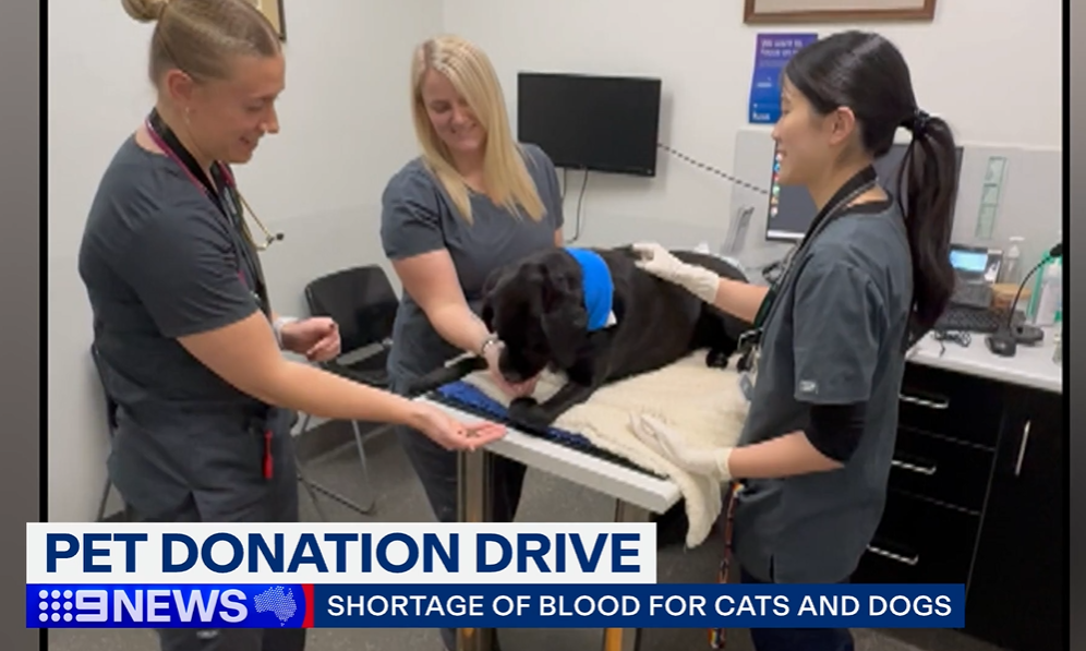 Channel 9 interview -Blood Bank Drive! - Care